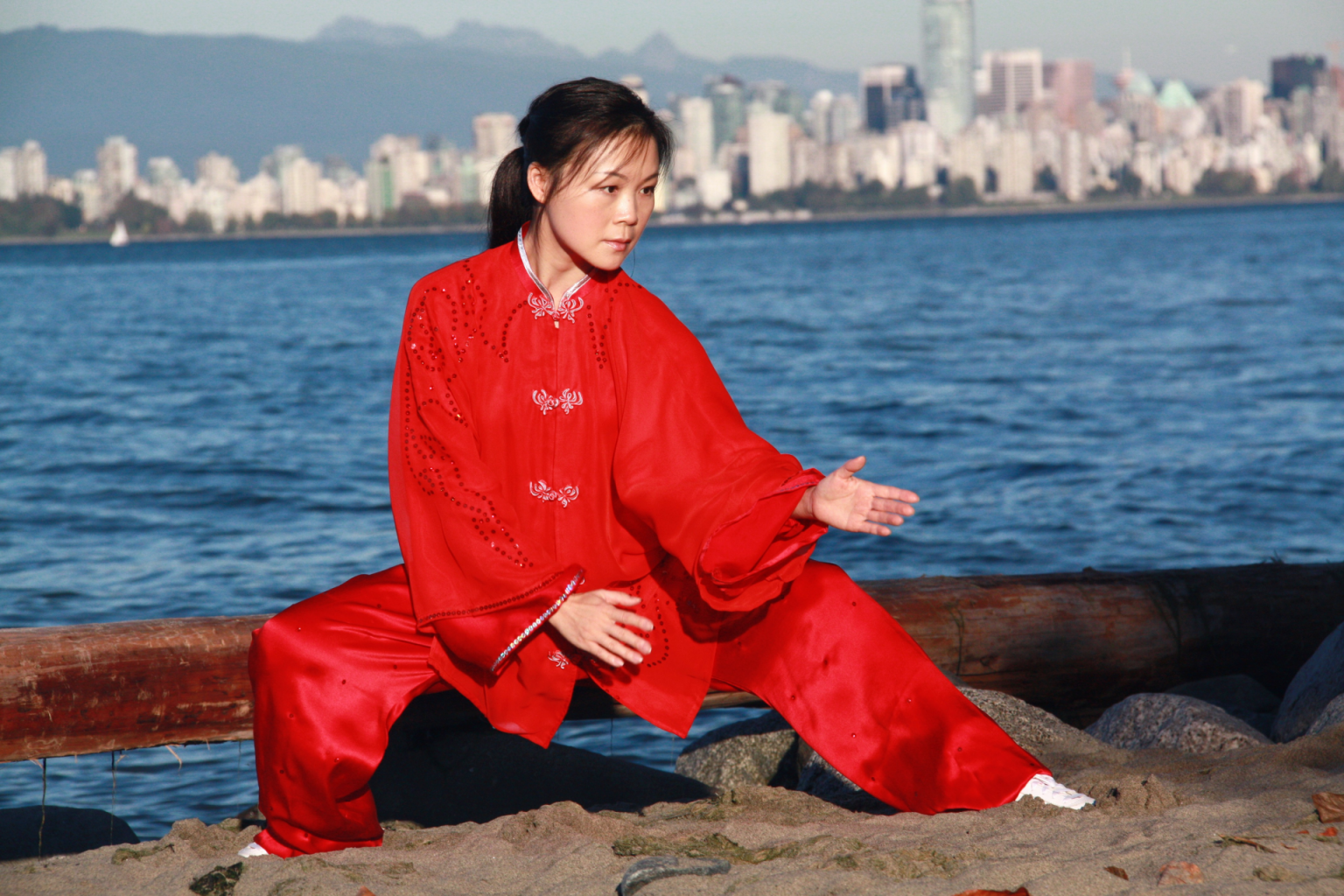 SYL Wushu Taiji Qigong Institute - Traditional Chinese martial arts ...
