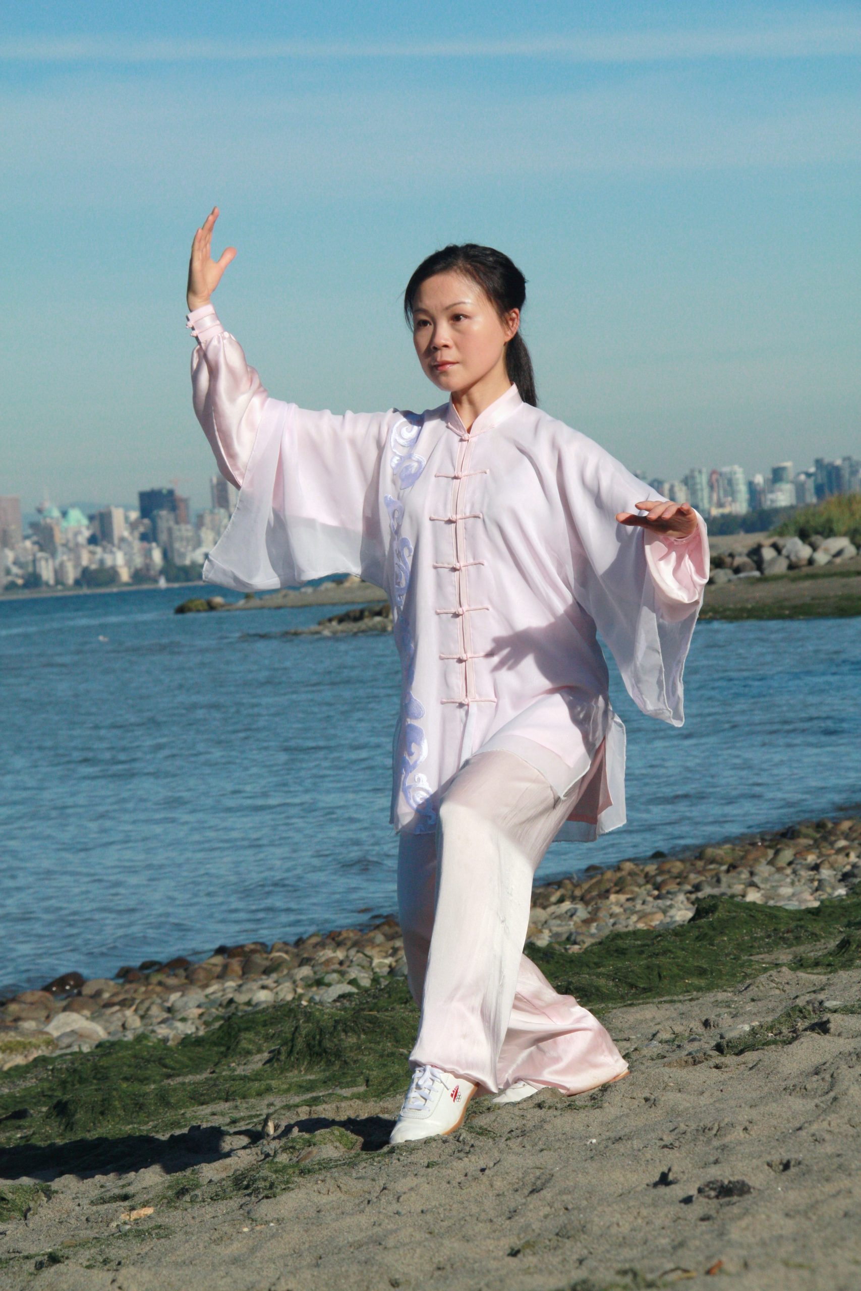 SYL Wushu Taiji Qigong Institute - Traditional Chinese martial arts ...