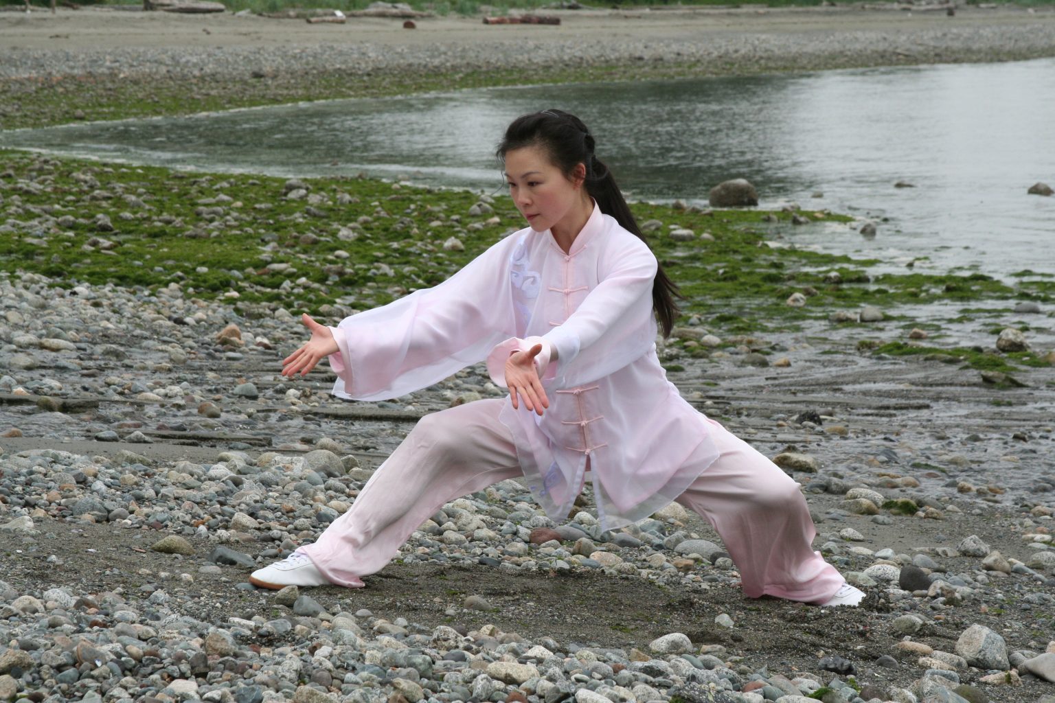 SYL Wushu Taiji Qigong Institute - Traditional Chinese martial arts ...