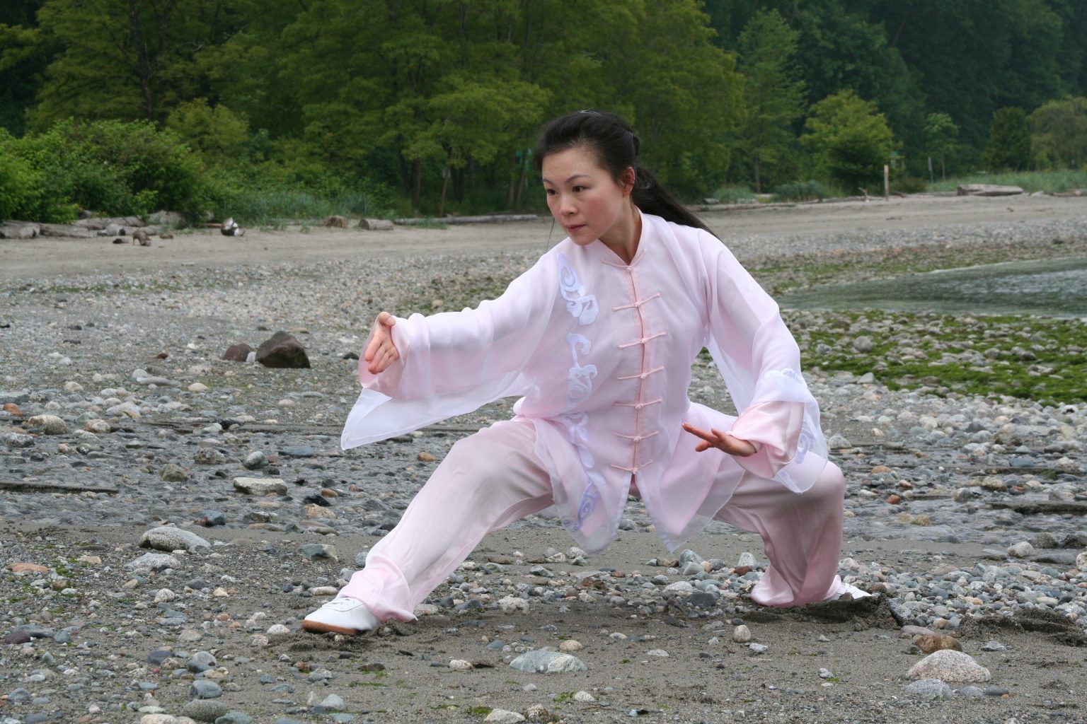Hybrid Beginner Liu He Ba Fa (Water Style) with Master Helen Liang ...