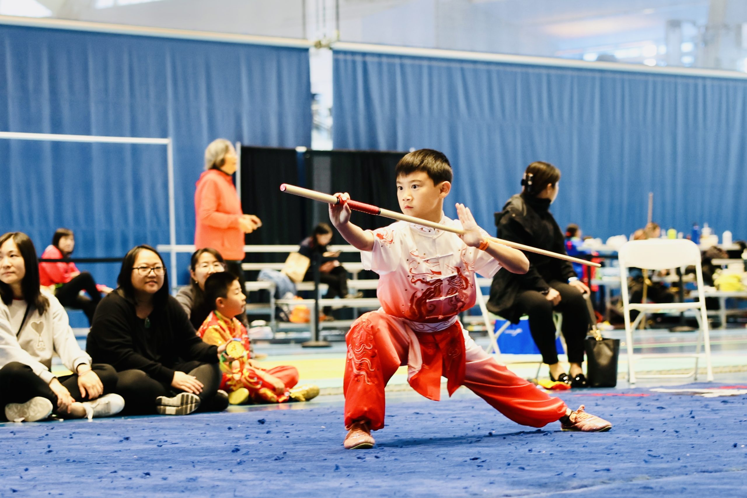 SYL Wushu Taiji Qigong Institute - Traditional Chinese martial arts ...