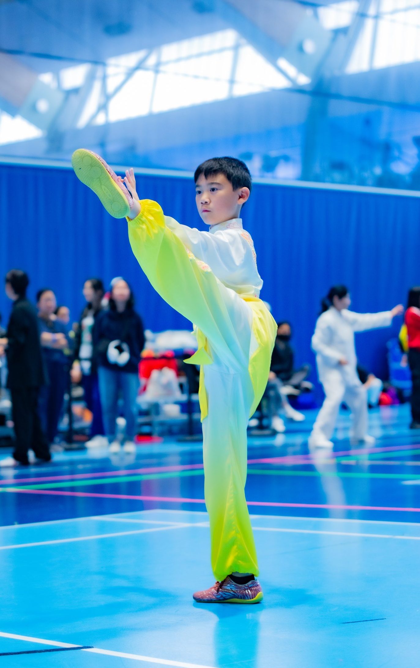 SYL Wushu Taiji Qigong Institute - Traditional Chinese martial arts ...