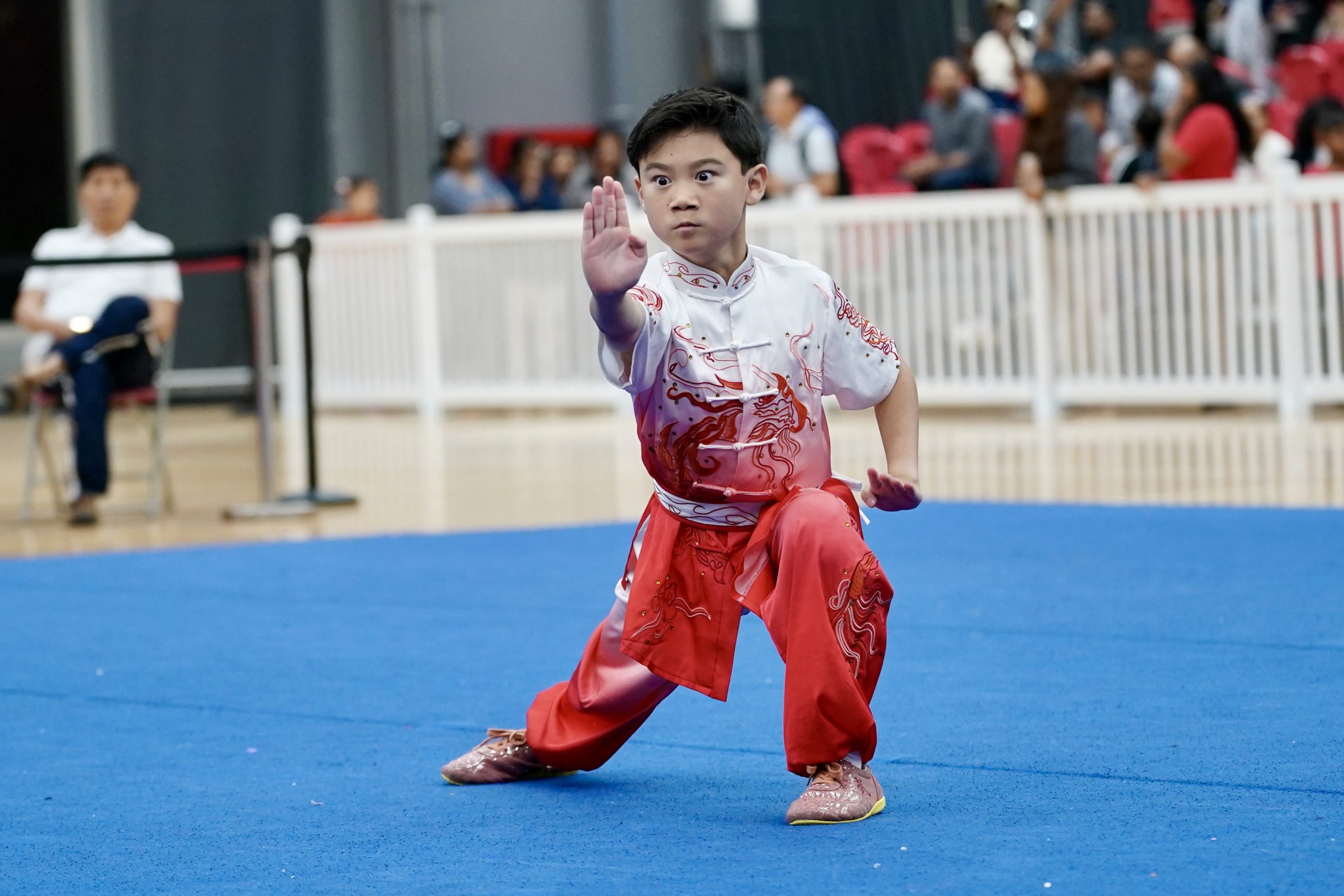 SYL Wushu Taiji Qigong Institute - Traditional Chinese martial arts ...